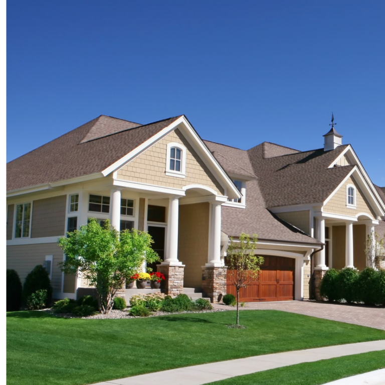 Website Design & Shopify Development in Glendale